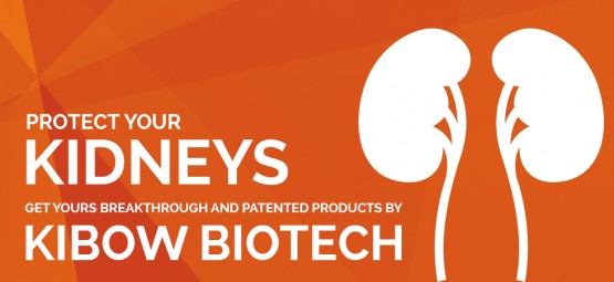 Renadyl™ Supplements To Make Kidney Healthy| Philadelphia | USA