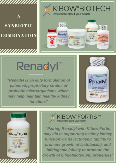 Renadyl™ - Probiotics to Improve Kidney Function| USA