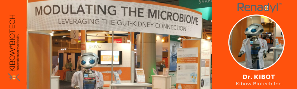 Renadyl™ - Probiotics for Kidney Function | USA