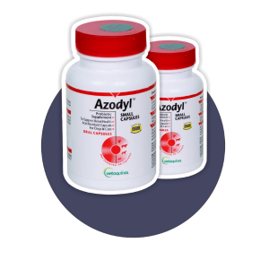 Our Products - Kibow Biotech